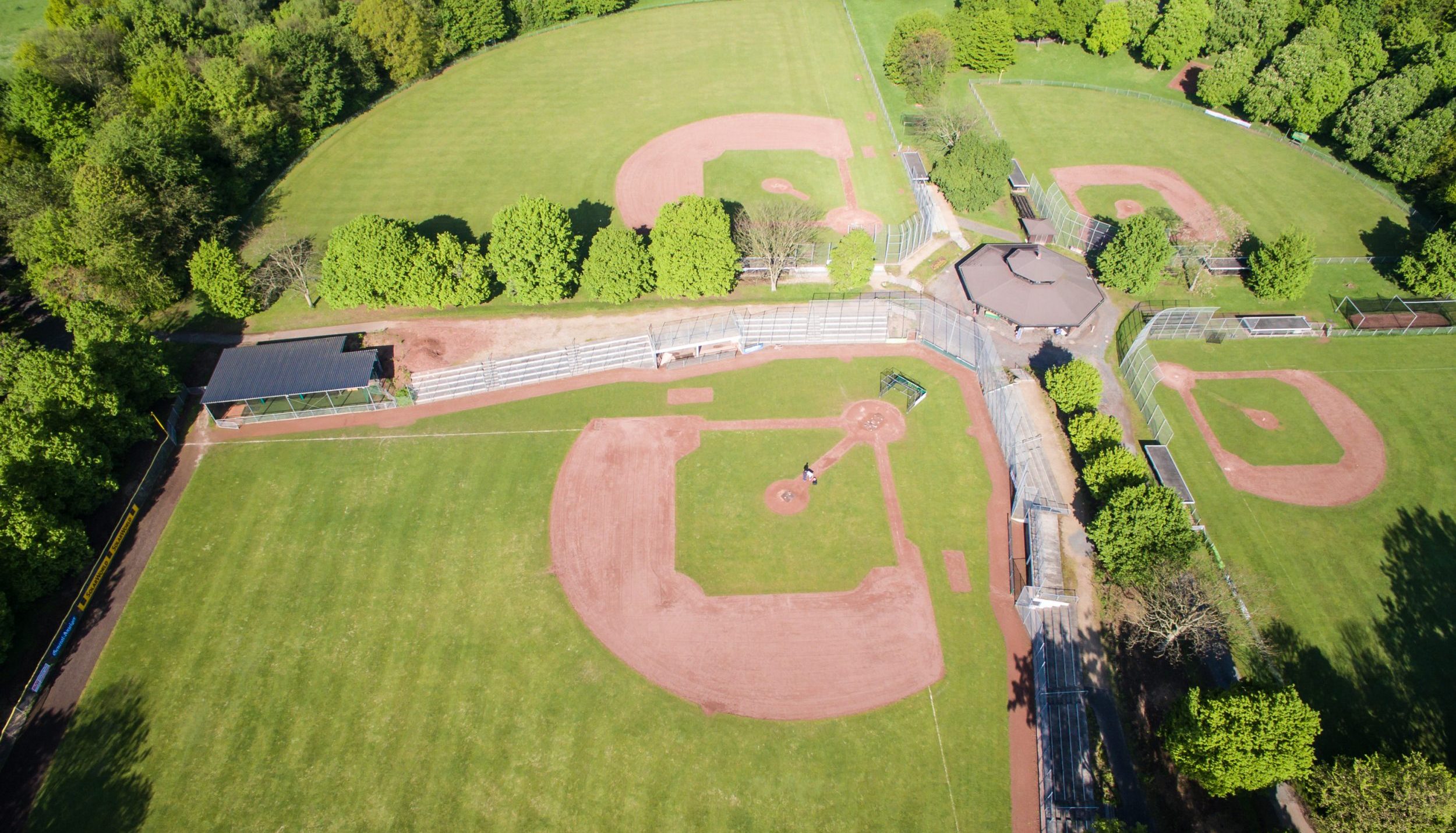 Bonner Baseball und Olympia 2032